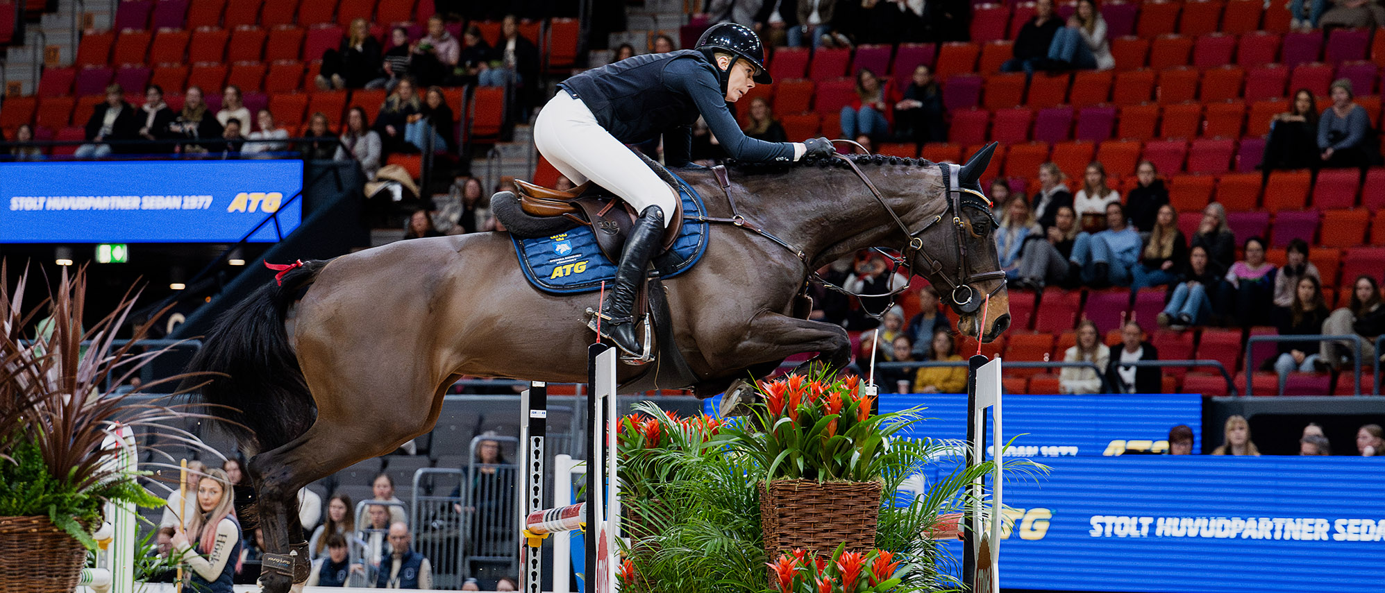 ATG Riders League Final | Gothenburg Horse show