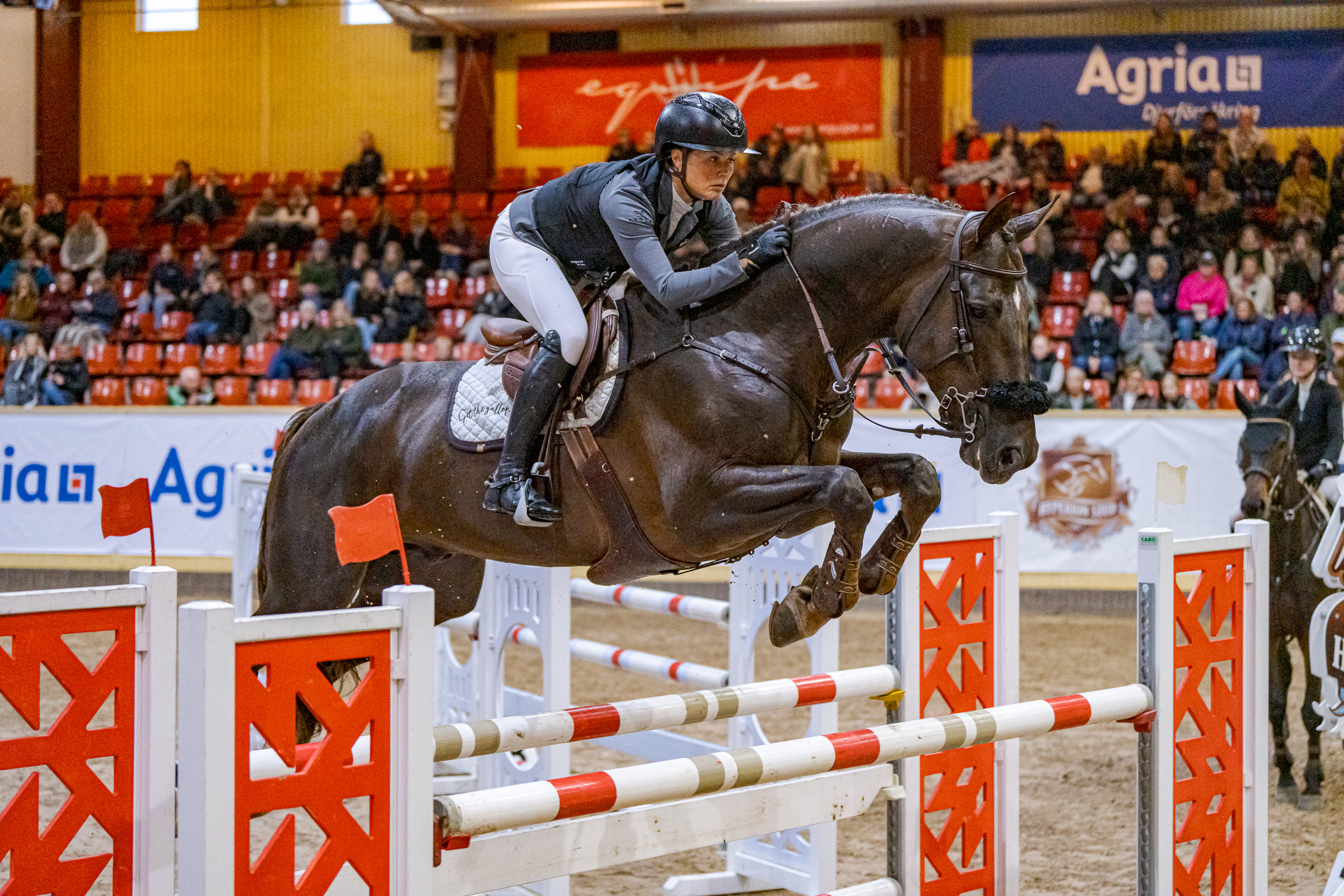 Lövsta Future Challenge Unga Hästar | GHS